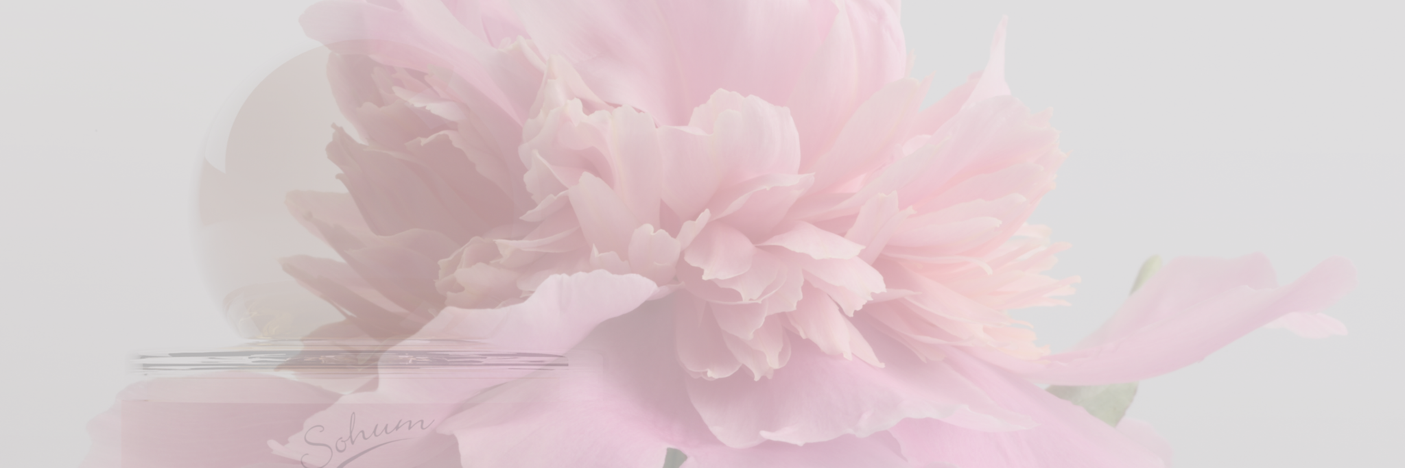 SOHUM Distingtly Roses